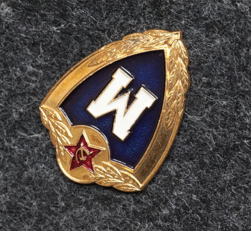 Знак Солдатская классность Мастер РЕДКАЯ РАЗНОВИДНОСТЬ! - Значки и знаки