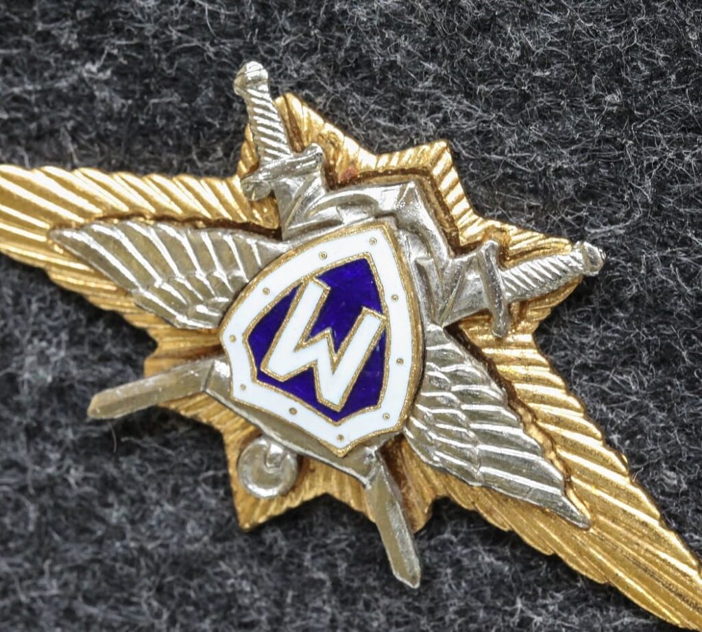 Знак Офицерская классность Мастер - Значки и знаки